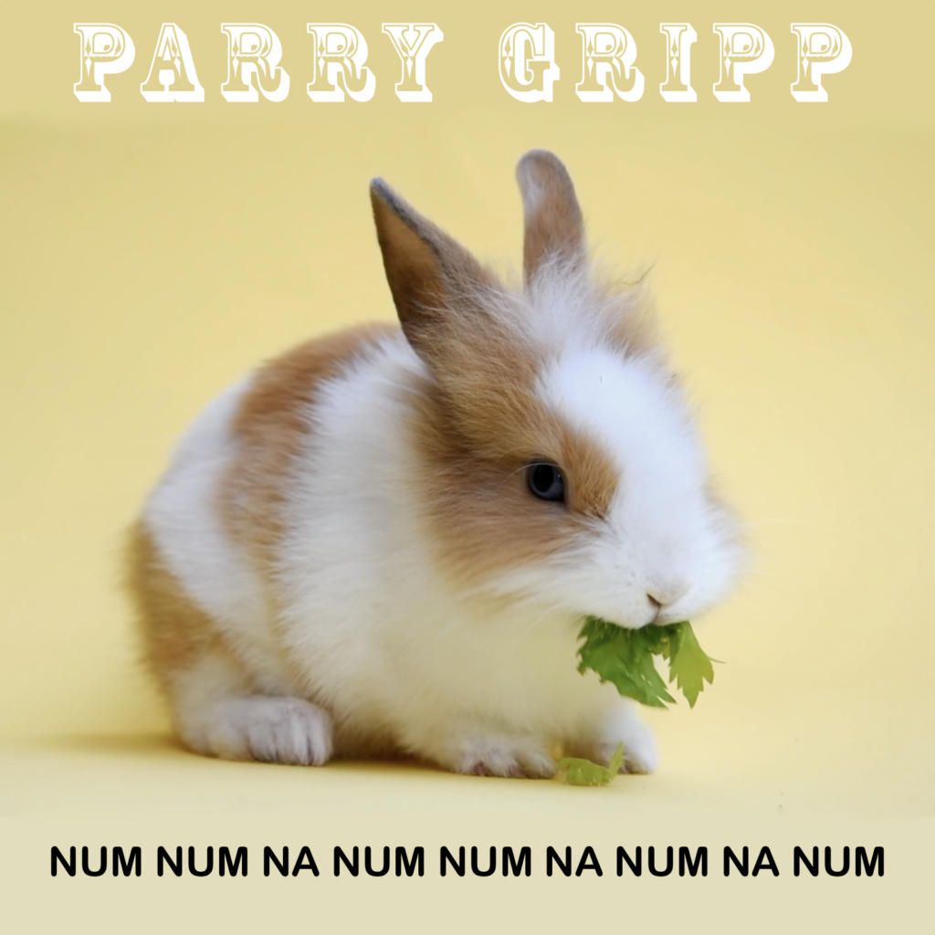 Num Num Na Num Num Na Num Na Num – Parry Gripp